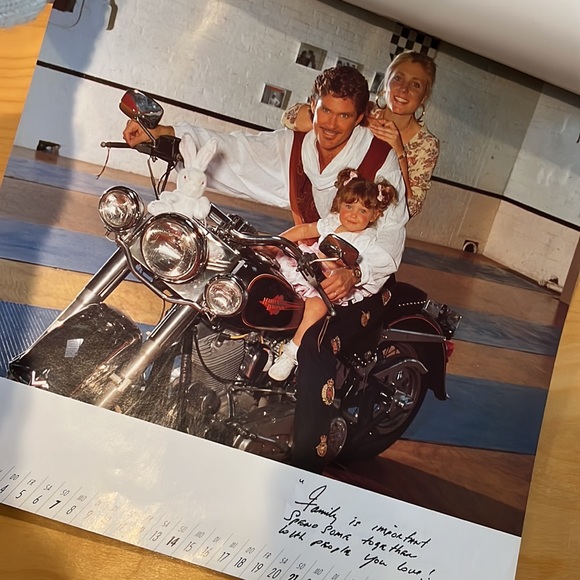 Wall Decor | Vintage David Hasselhoff 1993 Calendar | Poshmark